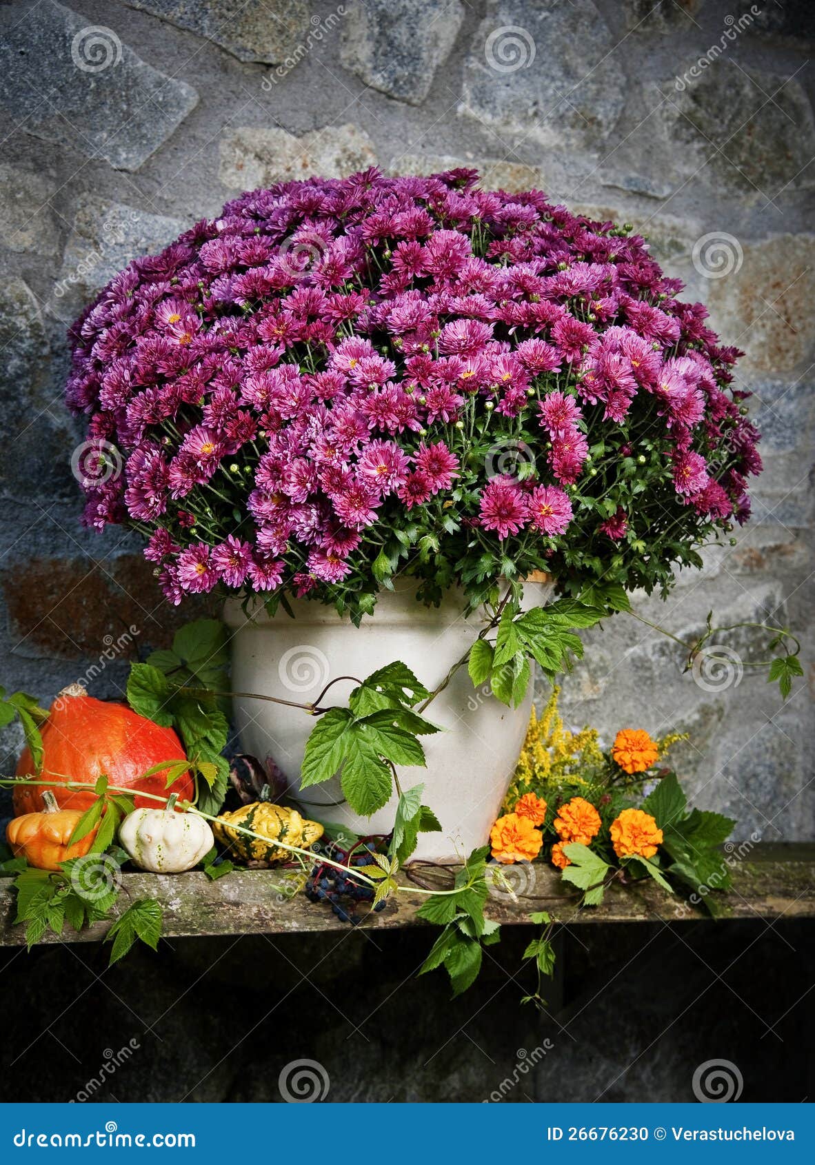 Autumn Still Life with Autumn Flowers Stock Photo - Image of harvest ...
