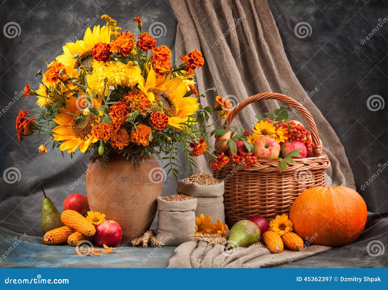 Flower And Fruit Of The Mickey Mouse Tree Royalty-Free Stock Image ...
