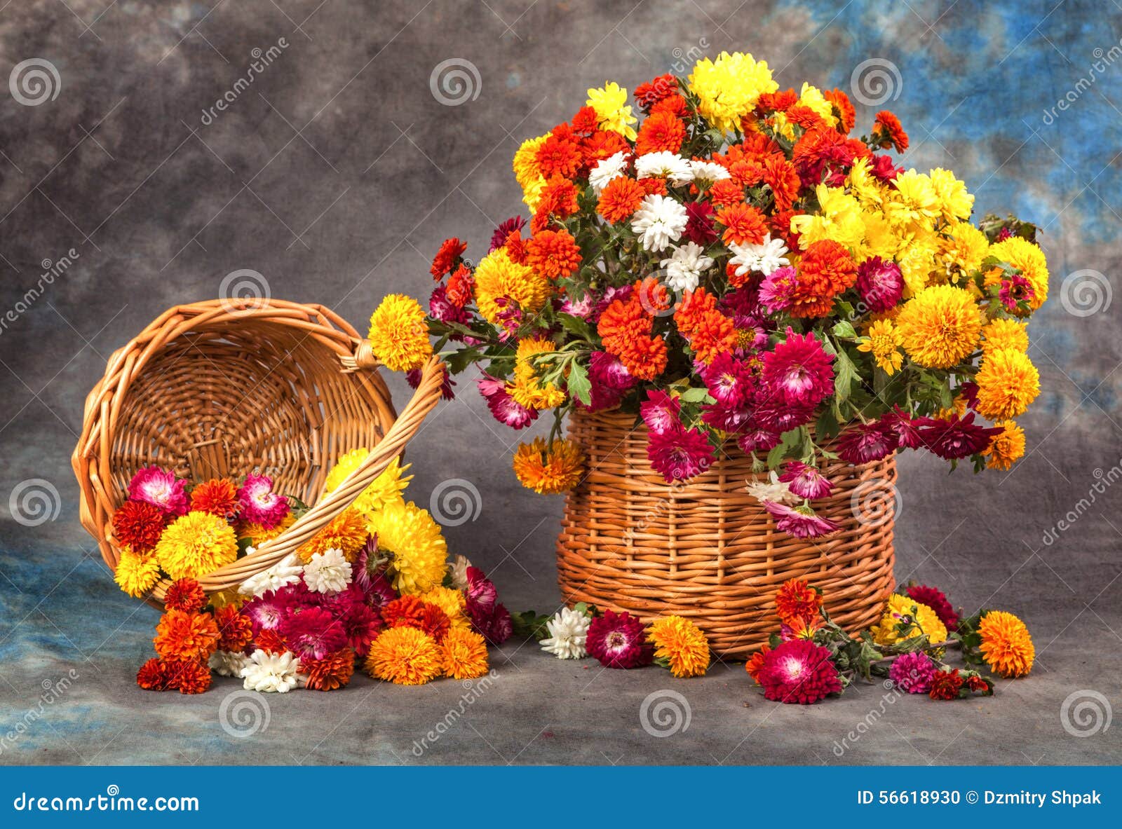 Autumn Still Life. Flower, Fruit and Vegetables Stock Photo - Image of ...