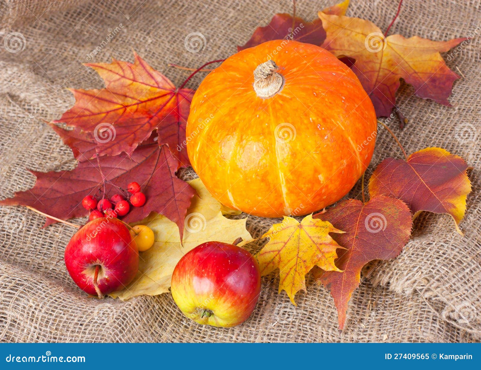 Autumn Still Life with Pumpkin Stock Image - Image of mountain, food ...