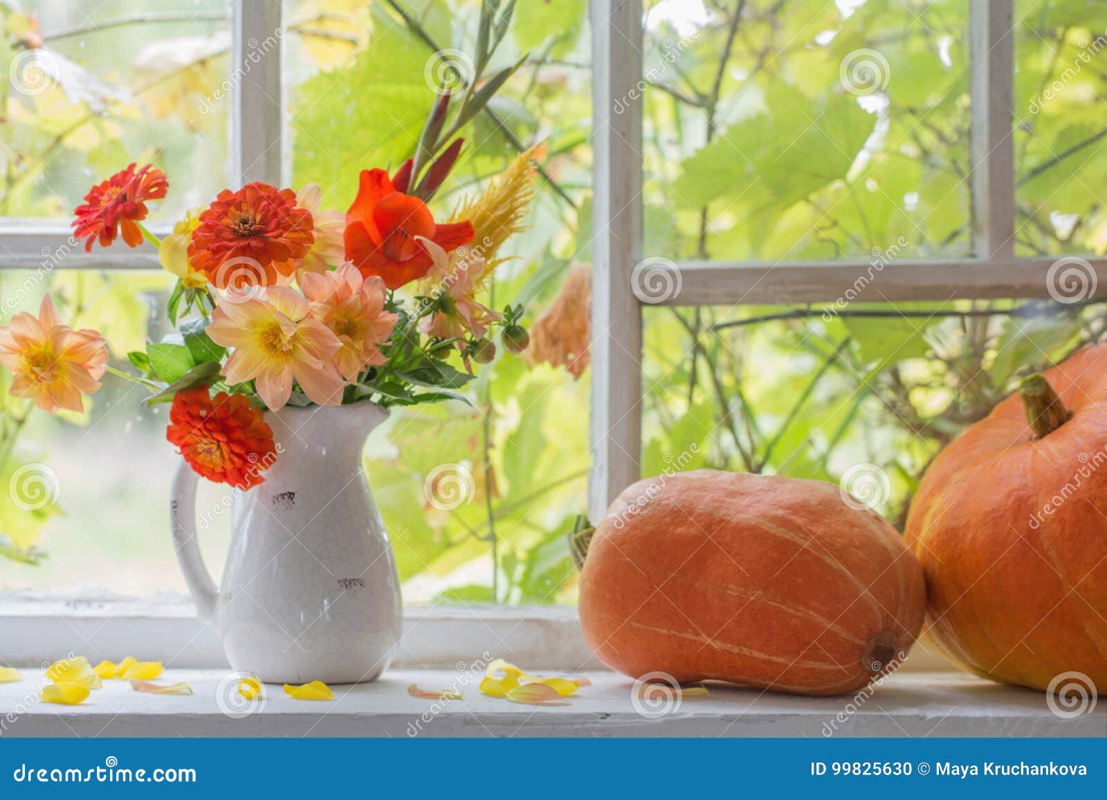 Autumn Still Life on Windowsill Stock Photo - Image of pitcher, bouquet ...