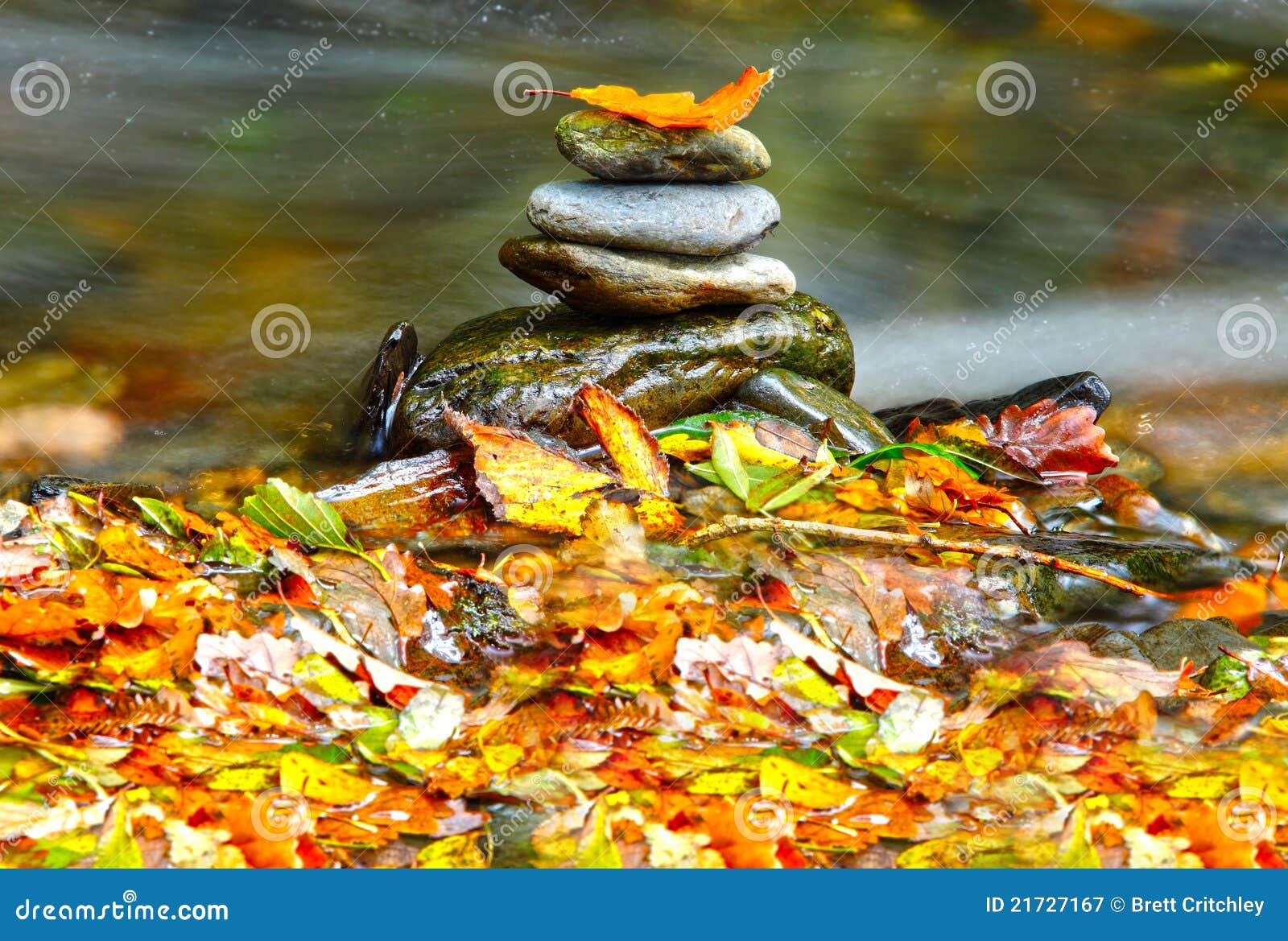 Autumn stones stock image. Image of orange, colors, tranquil - 21727167
