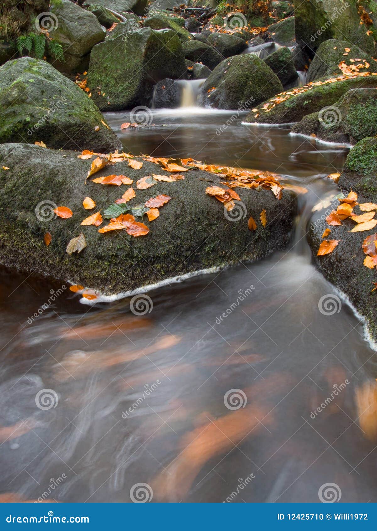 Autumn stream stock photo. Image of movement, leaves - 12425710