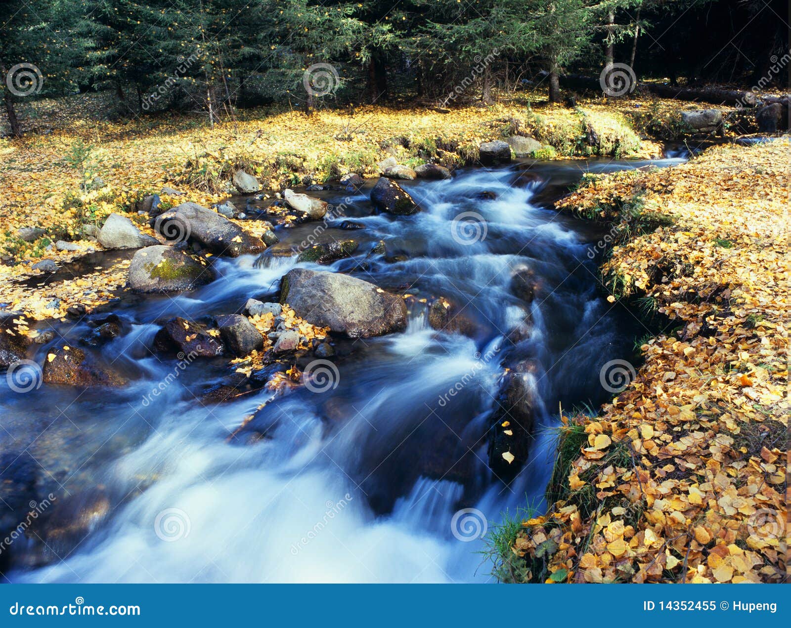 Autumn stream stock image. Image of beauty, autumn, fluid - 14352455