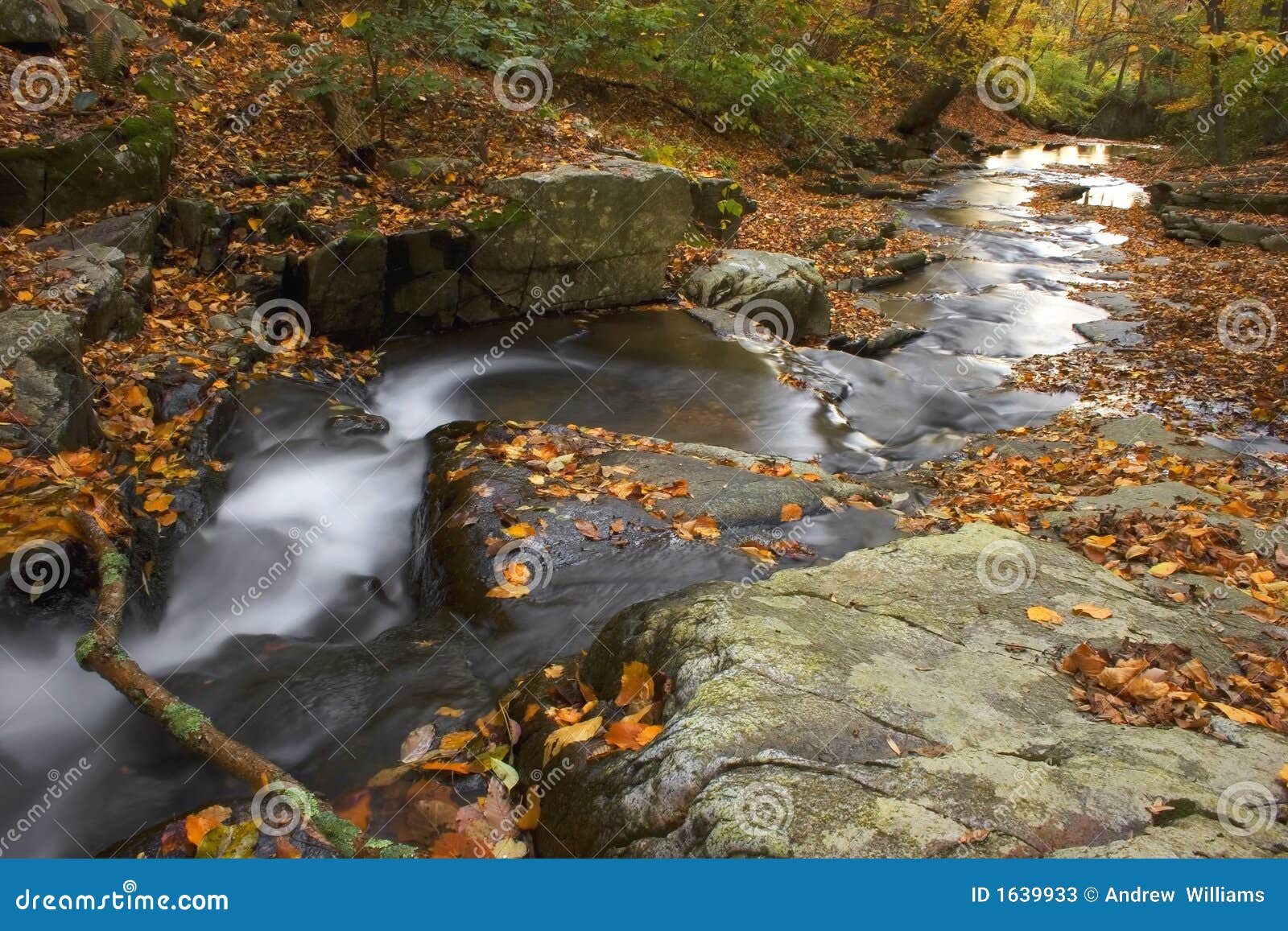 Autumn Stream stock image. Image of nature, colourful - 1639933