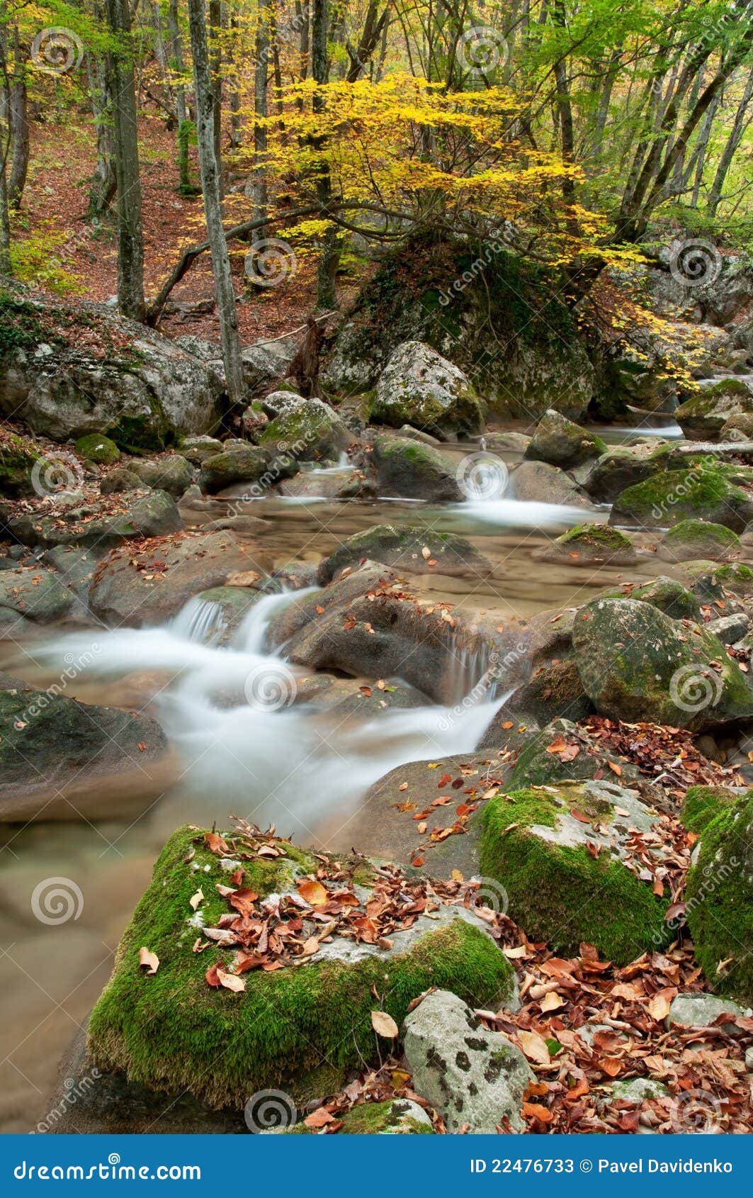 Autumn Stream stock image. Image of ecology, colors, nature - 22476733