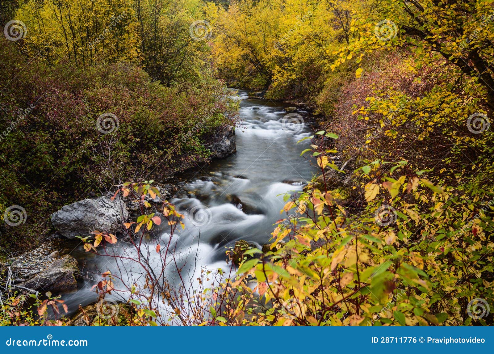 Autumn stream stock photo. Image of fall, river, colorful - 28711776