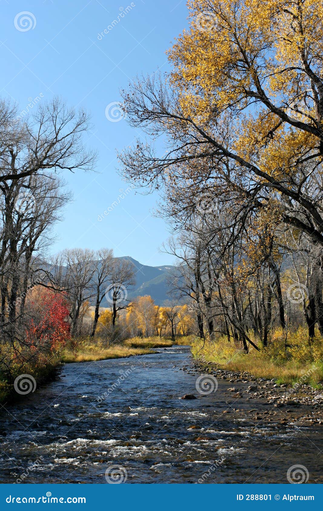 Autumn stream stock image. Image of season, scenery, flowing - 288801