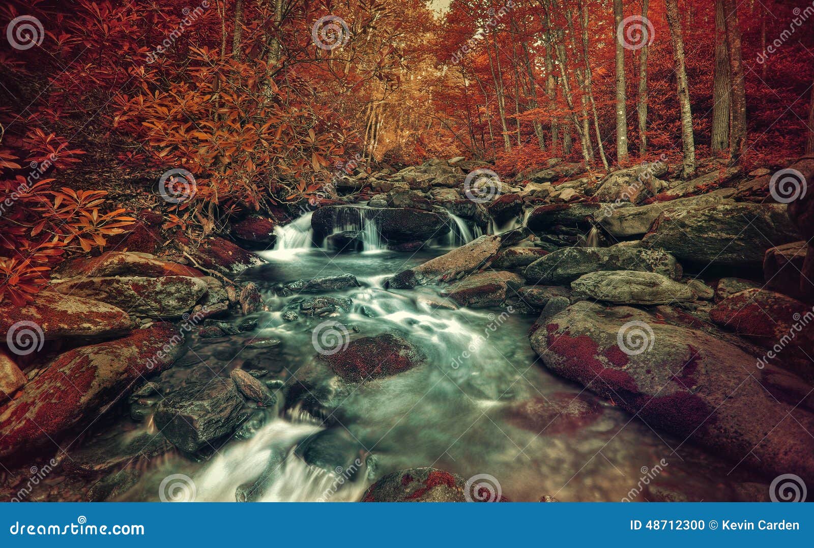 Autumn stream stock photo. Image of river, flow, water - 48712300