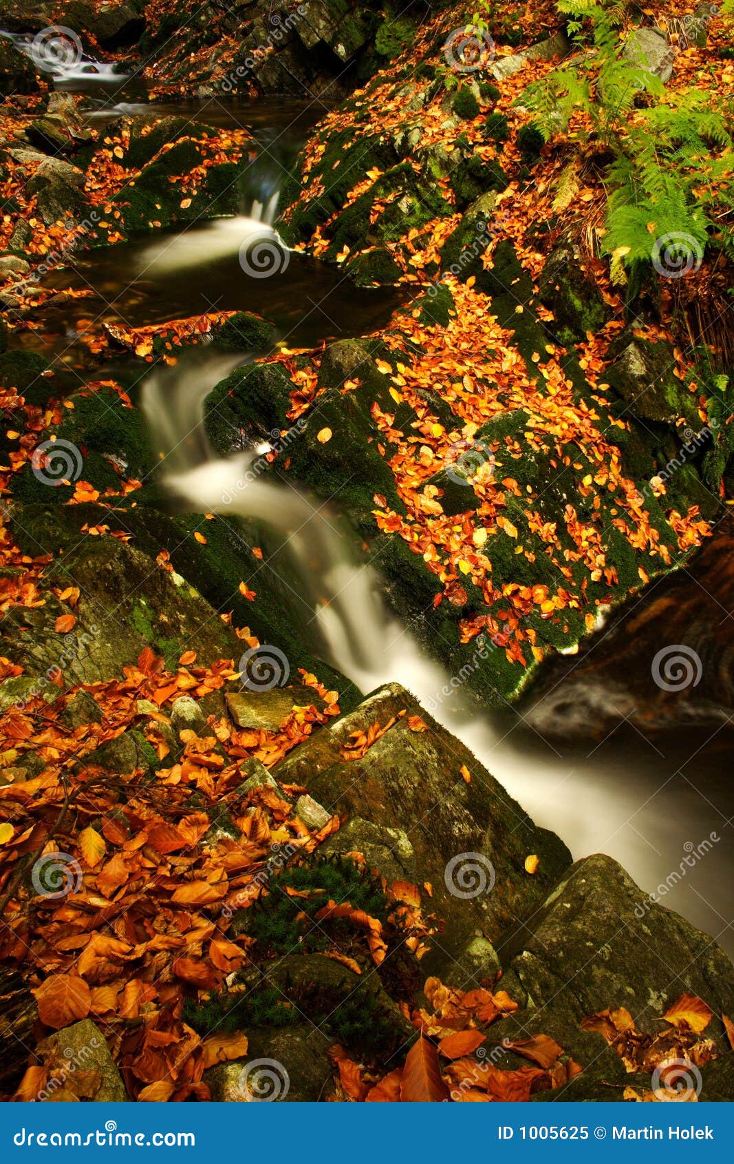 Autumn Stream in Giant Mountains Stock Image - Image of krkono, torrent ...