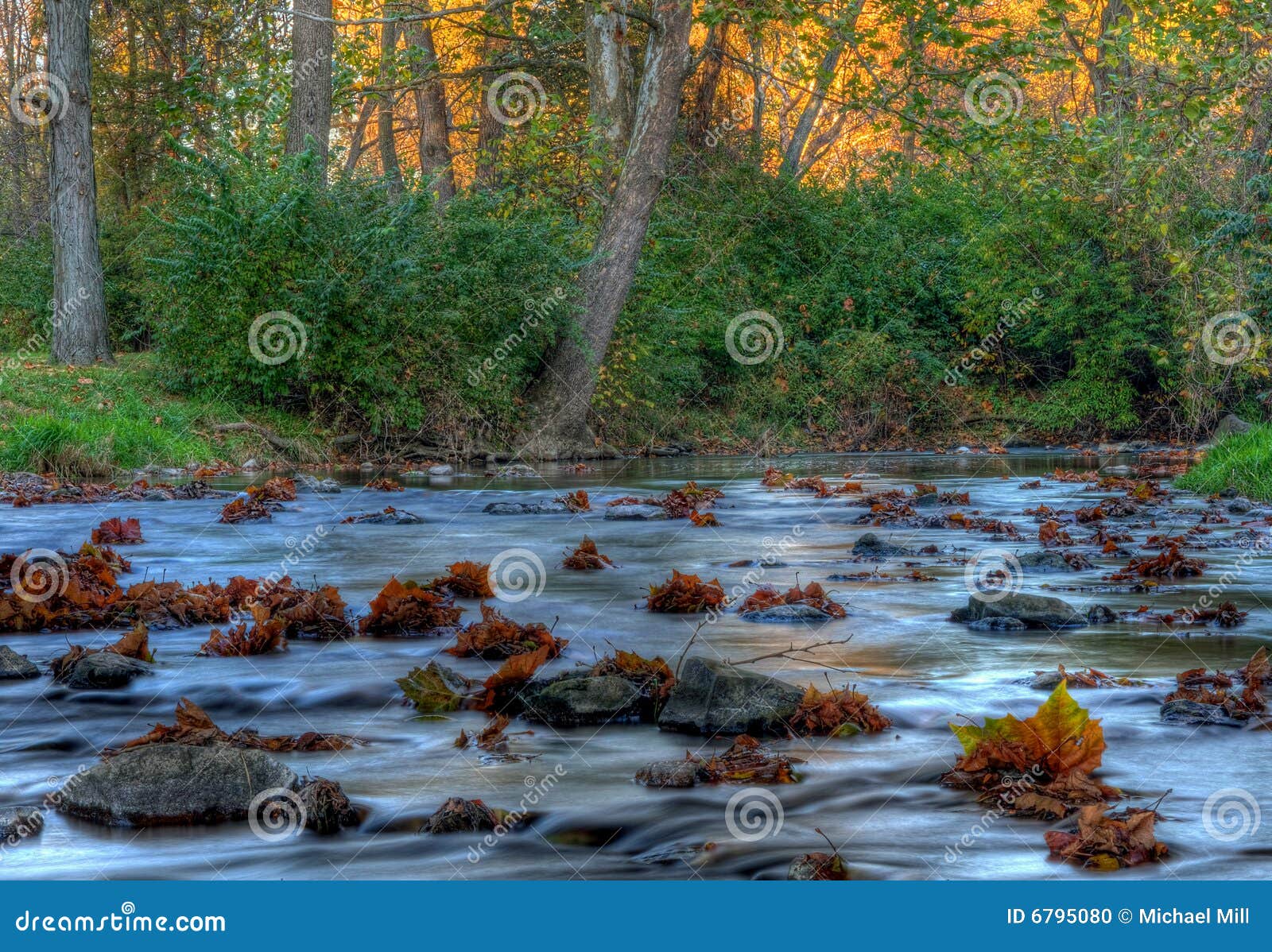 Autumn Stream HDR stock photo. Image of beautiful, nature - 6795080