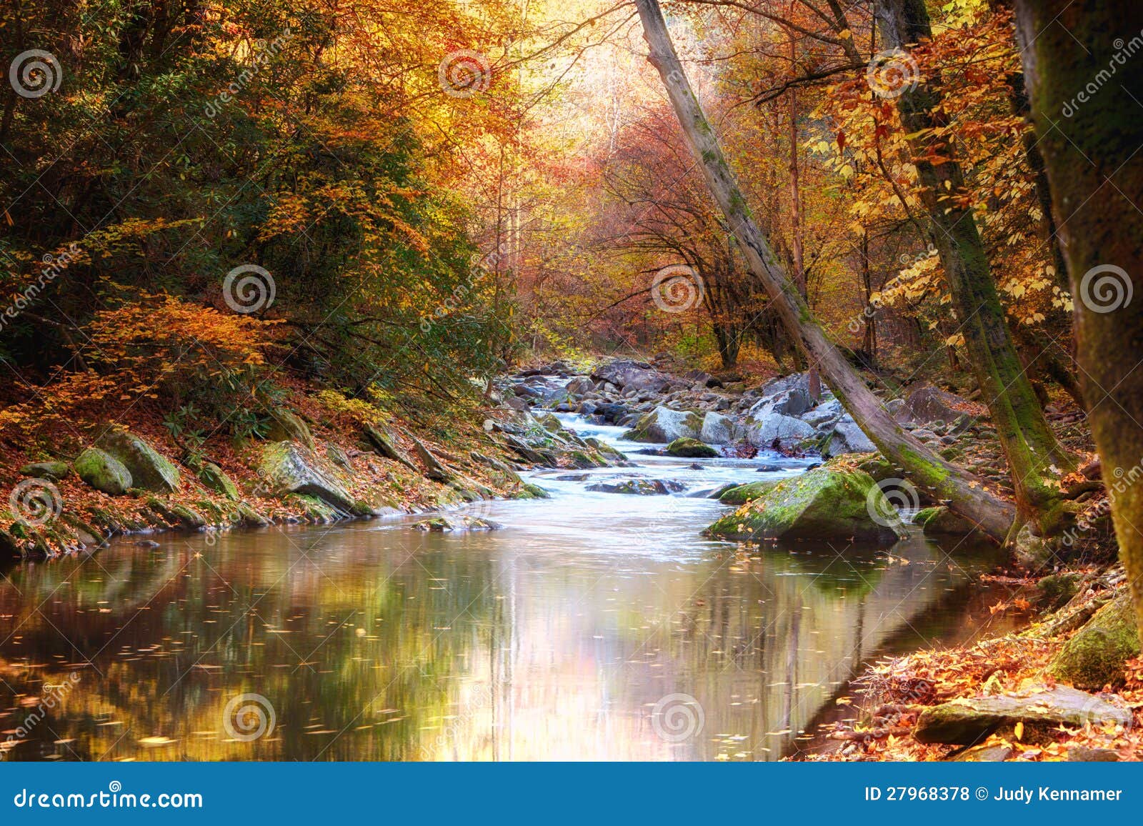 Autumn Stream Lined with Trees Stock Photo - Image of fall, plant: 27968378
