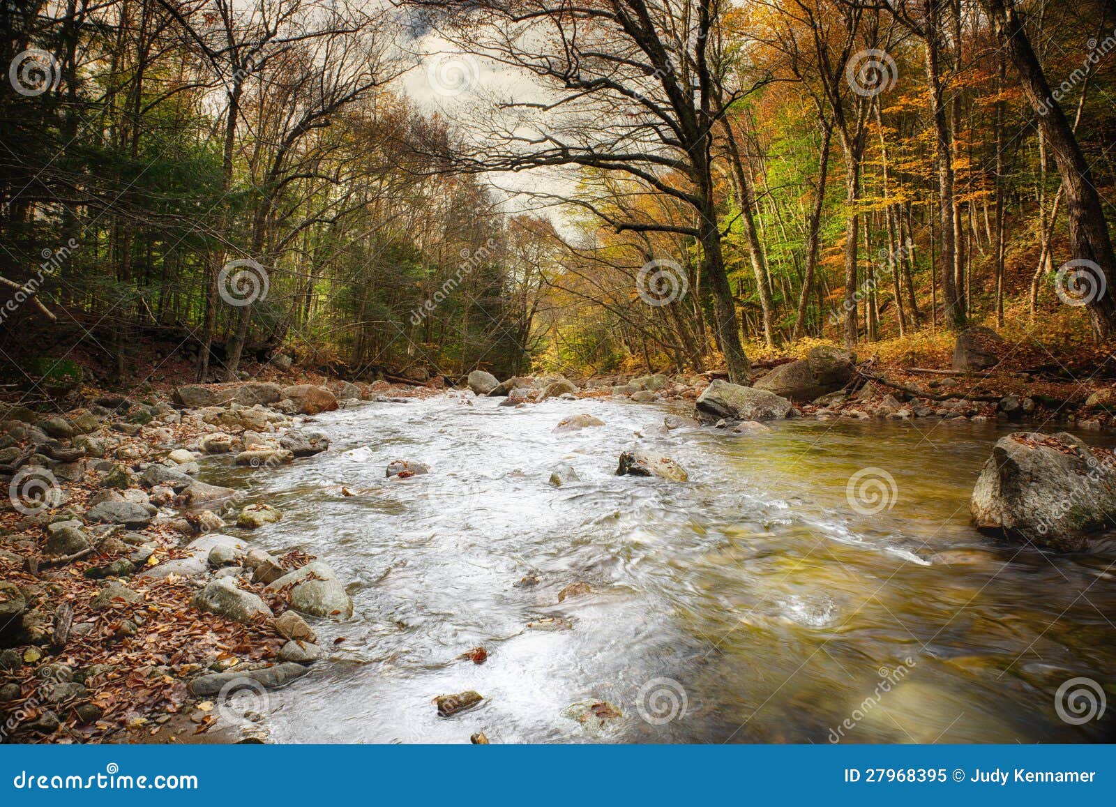 Autumn Stream Lined with Trees Stock Image - Image of fall, outdoor ...