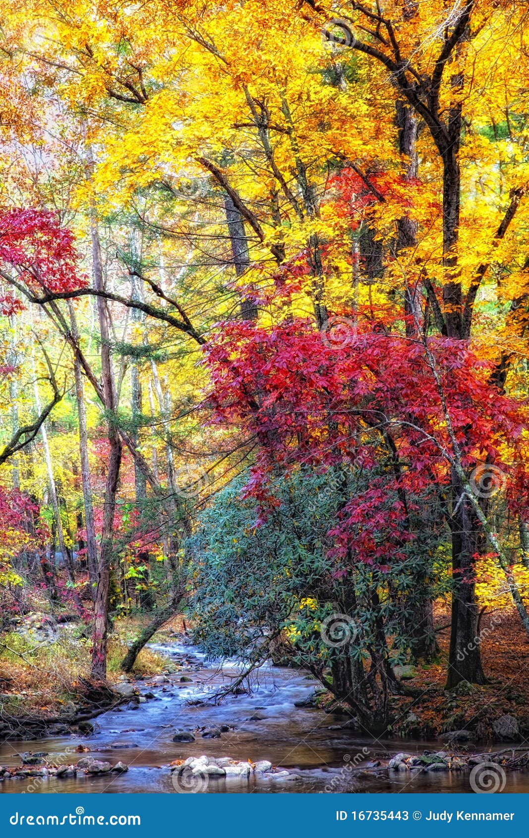Autumn Stream with Mossy Rocks Stock Image - Image of orange, colors ...