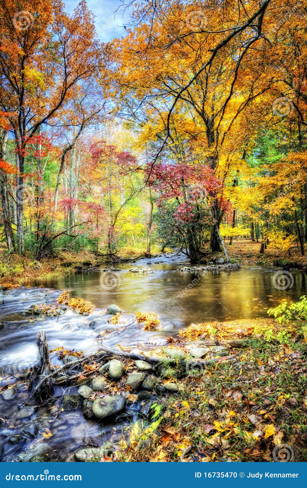 Autumn Stream with Mossy Rocks Stock Photo - Image of moss, landscape ...