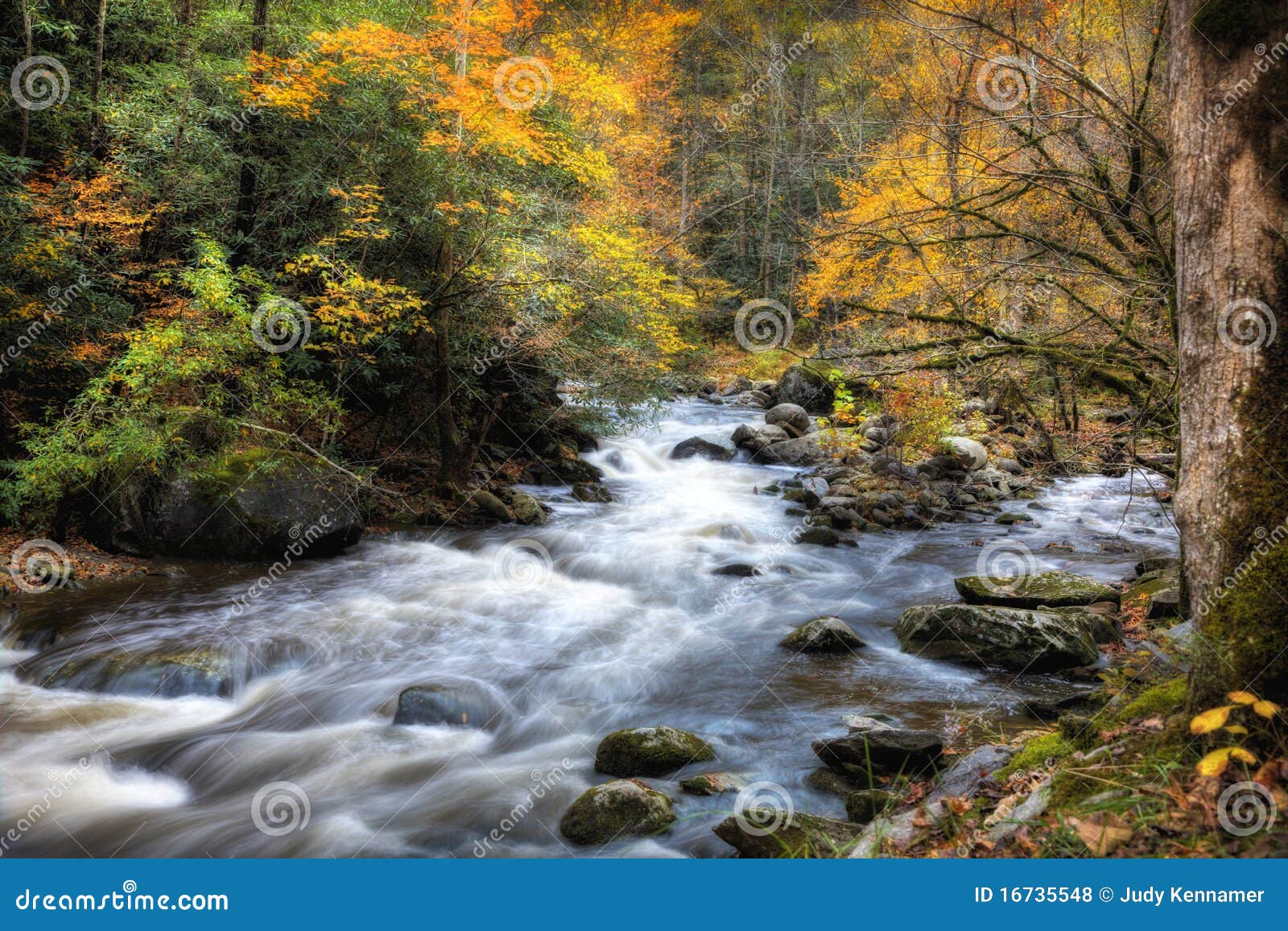 Autumn Stream with Mossy Rocks Stock Photo - Image of peace, branch ...