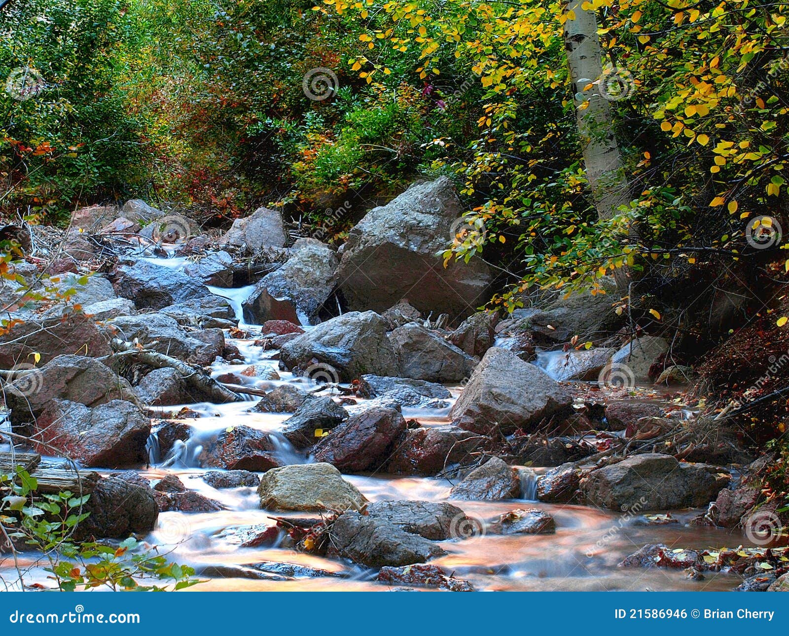 Autumn Stream at Sunrise stock photo. Image of stream - 21586946