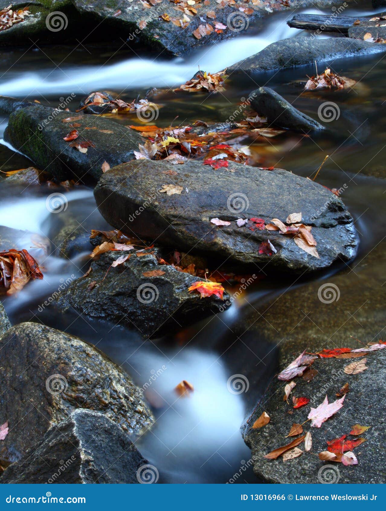 Autumn Stream, Western North Carolina Stock Photo - Image of lush ...