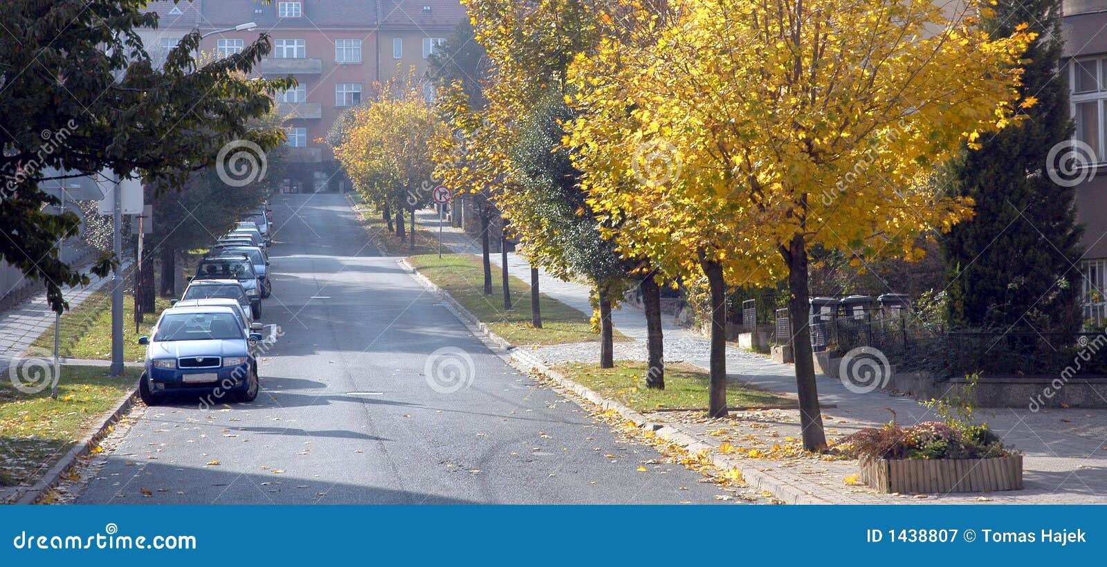 Autumn on street stock image. Image of tree, auto, cars - 1438807