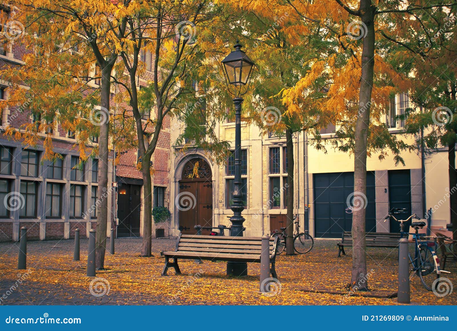 Autumn street stock image. Image of avenue, autumn, beautiful - 21269809
