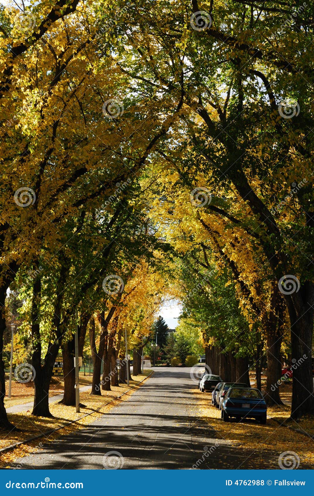 Autumn Street View in Edmonton Stock Photo - Image of seasonal, nature ...