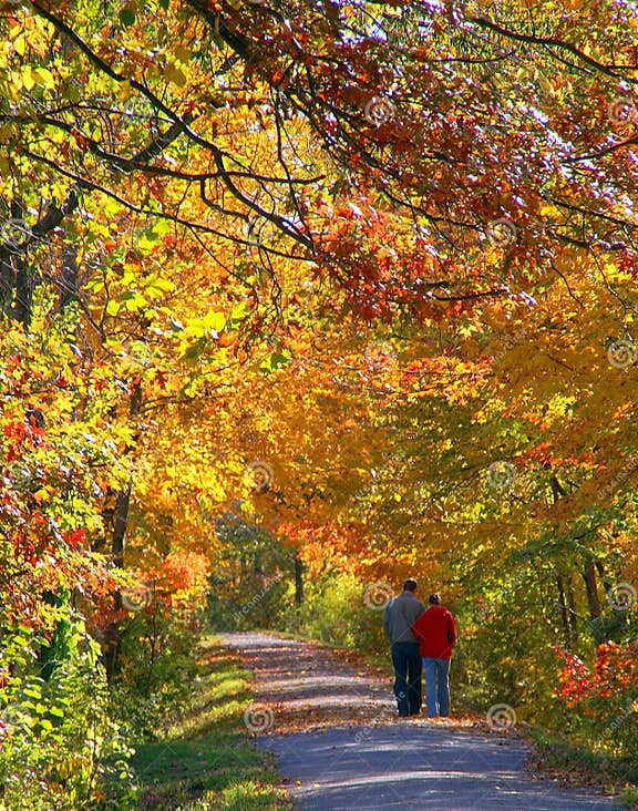 An Autumn Stroll stock photo. Image of beauty, deciduous - 1942160