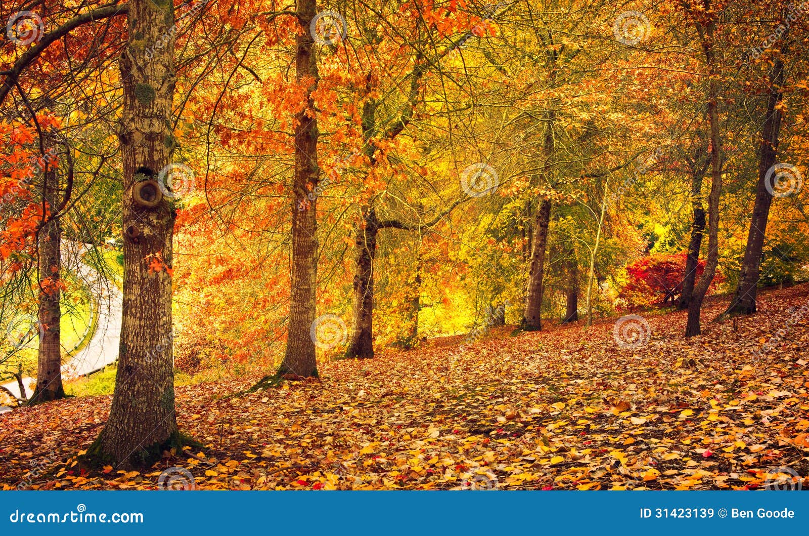 Autumn Stroll stock image. Image of peaceful, landscape - 31423139
