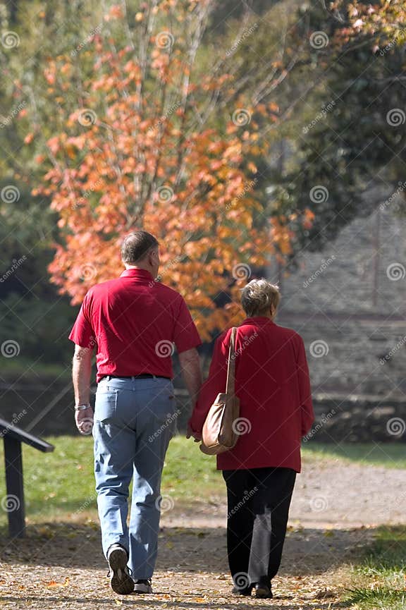 Autumn stroll in park stock photo. Image of sunny, grey - 324166