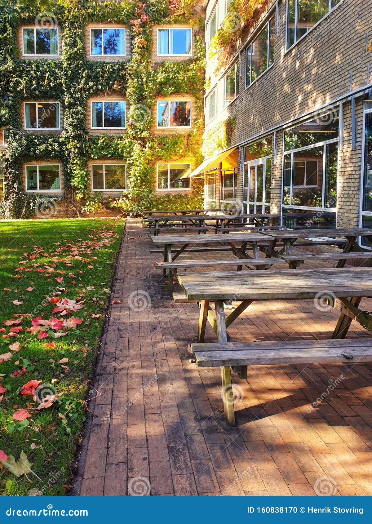 Autumn Sun at Aarhus University Campus Stock Photo - Image of autumn ...