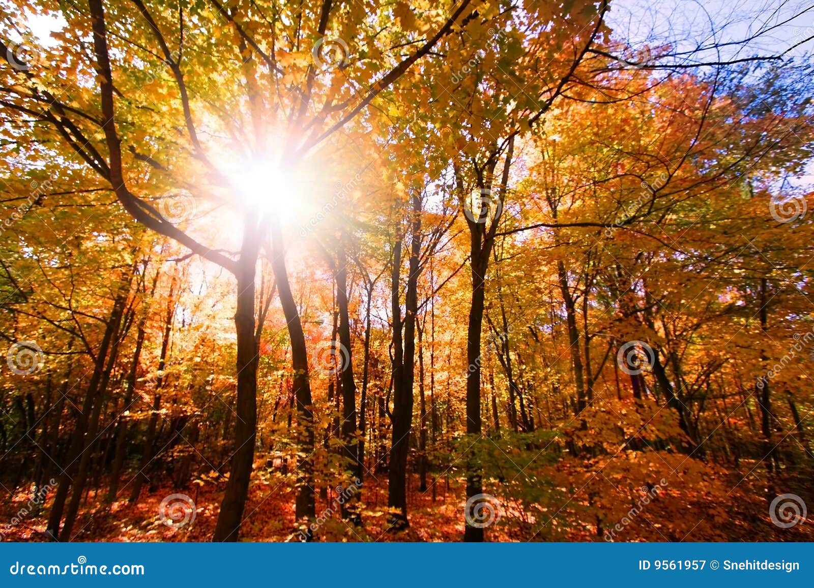 Autumn Sun Raise stock image. Image of scene, countryside - 9561957