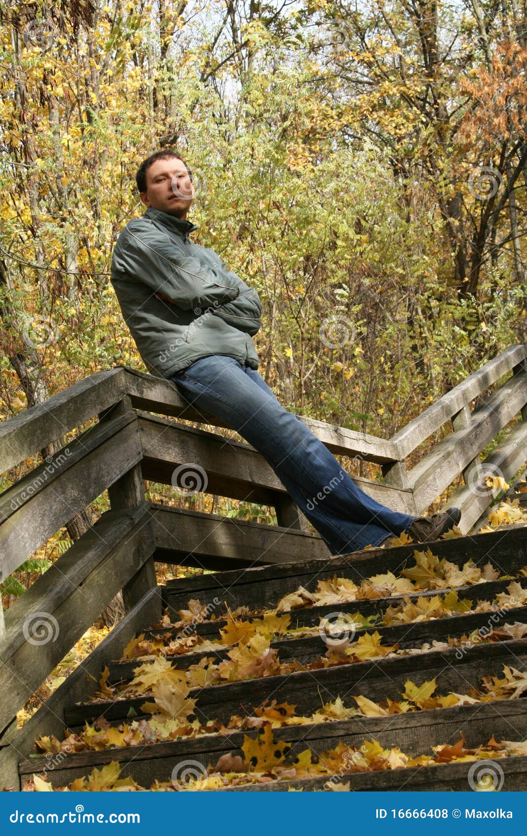 Autumn sunbathing stock photo. Image of park, young, garden - 16666408