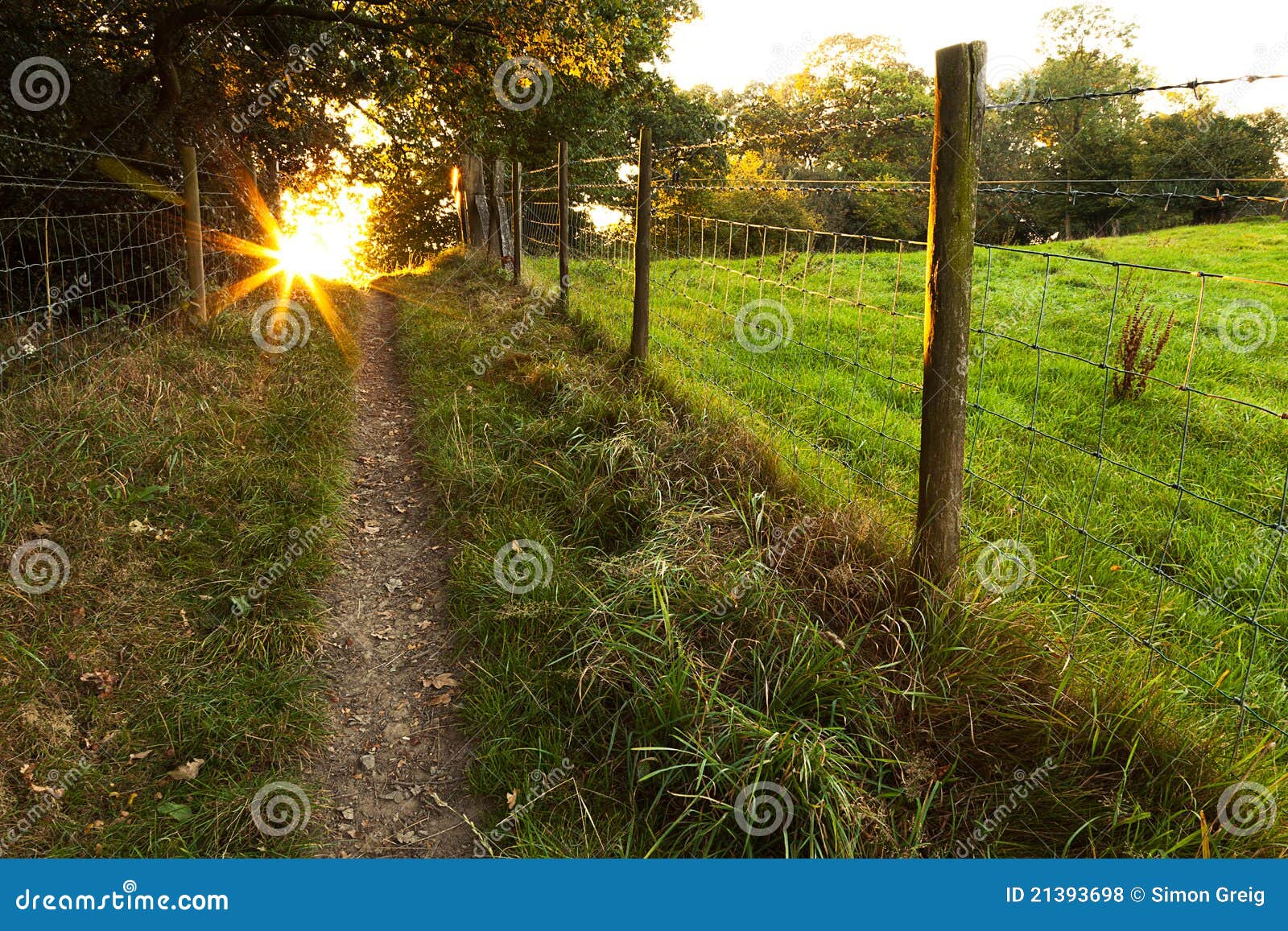Autumn Sunburst Path stock photo. Image of sunny, footpath - 21393698