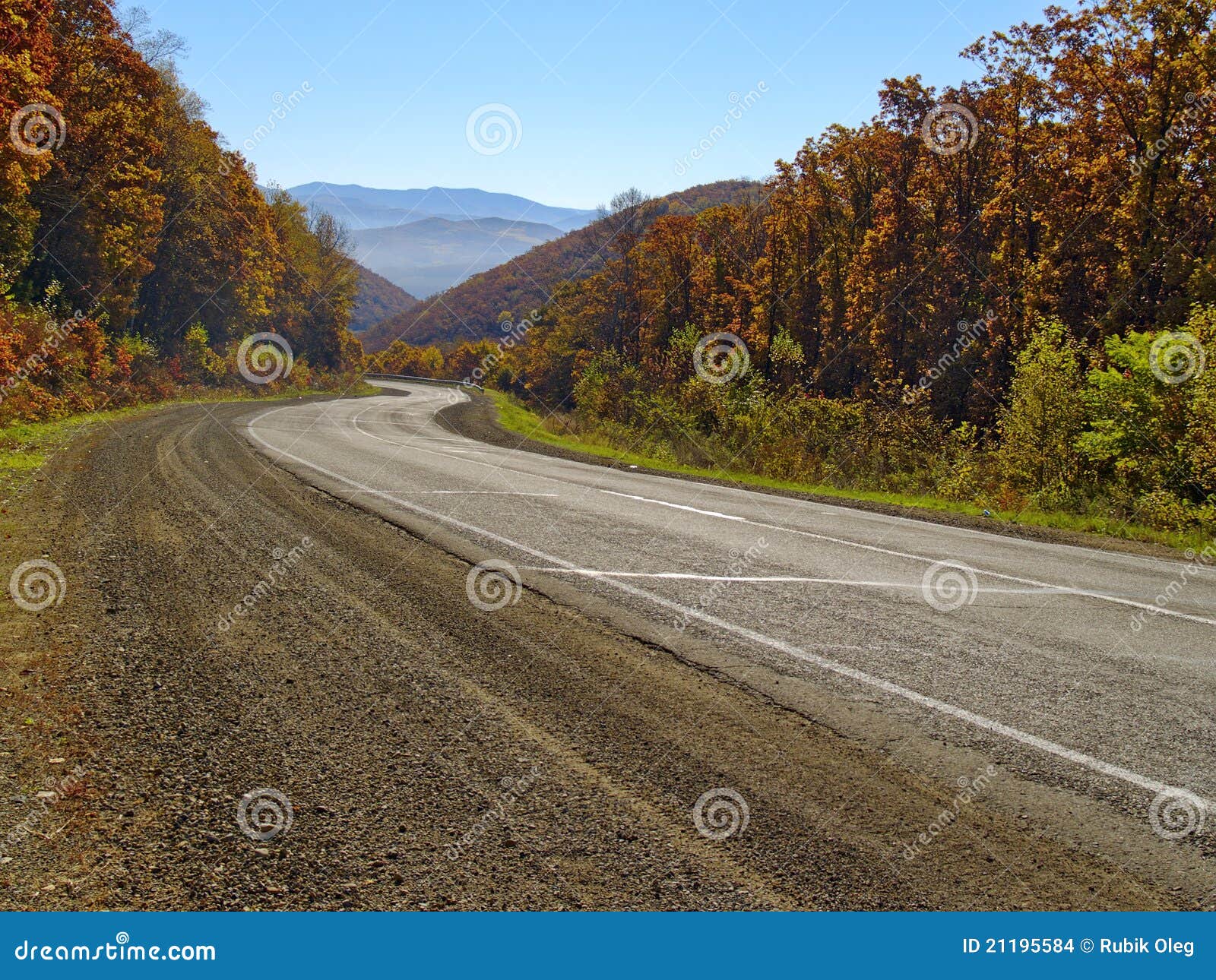 Autumn Sunny Day on a Highway Stock Photo - Image of wood, yellow: 21195584