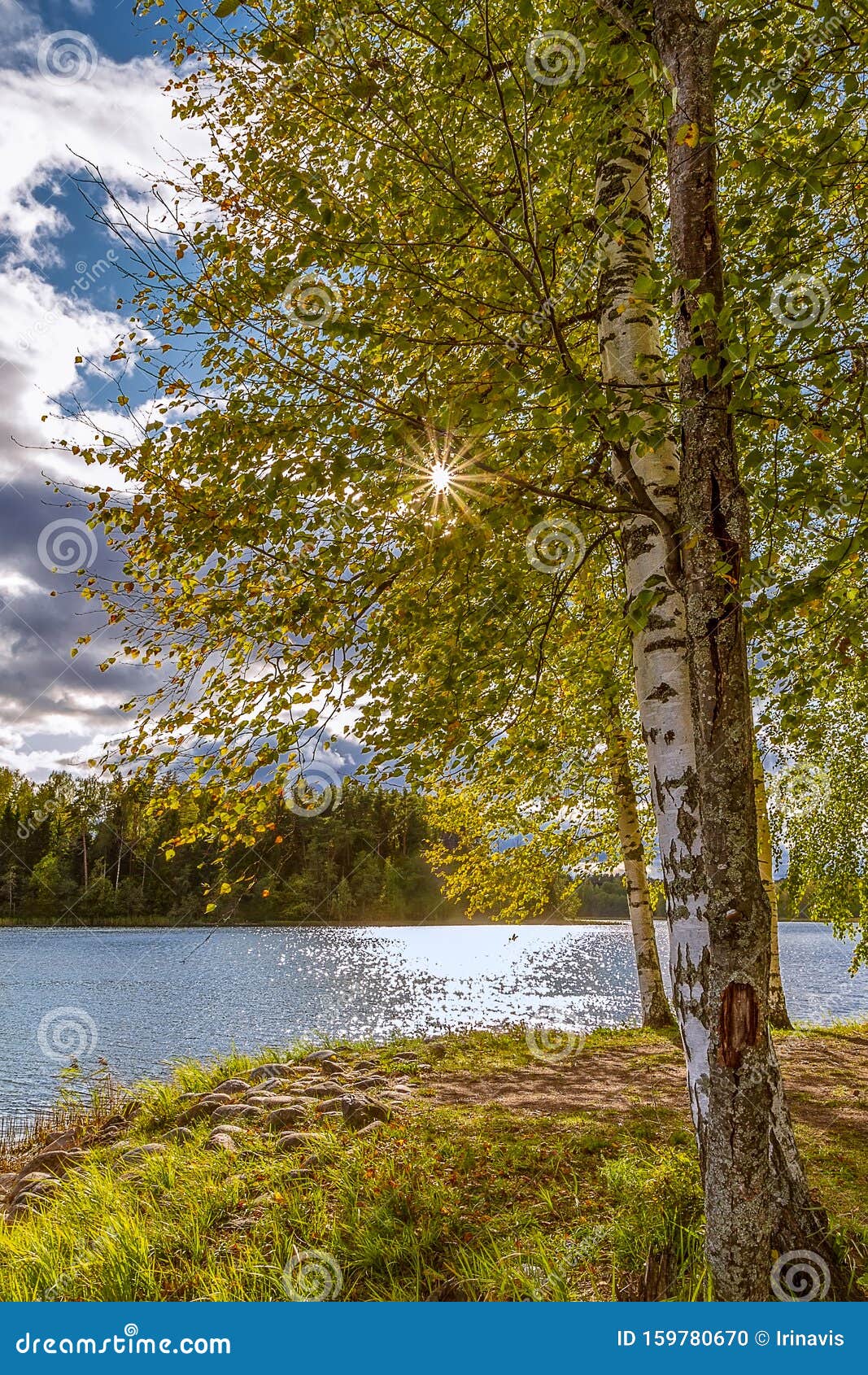 Autumn Sunny Day by the Lake Stock Photo - Image of birch, travel ...