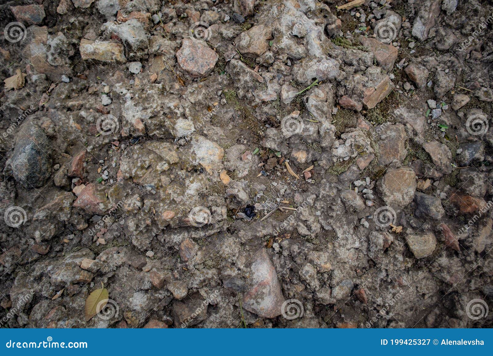 Autumn and Sunny Weather, Texture Stock Image - Image of autumn, look ...