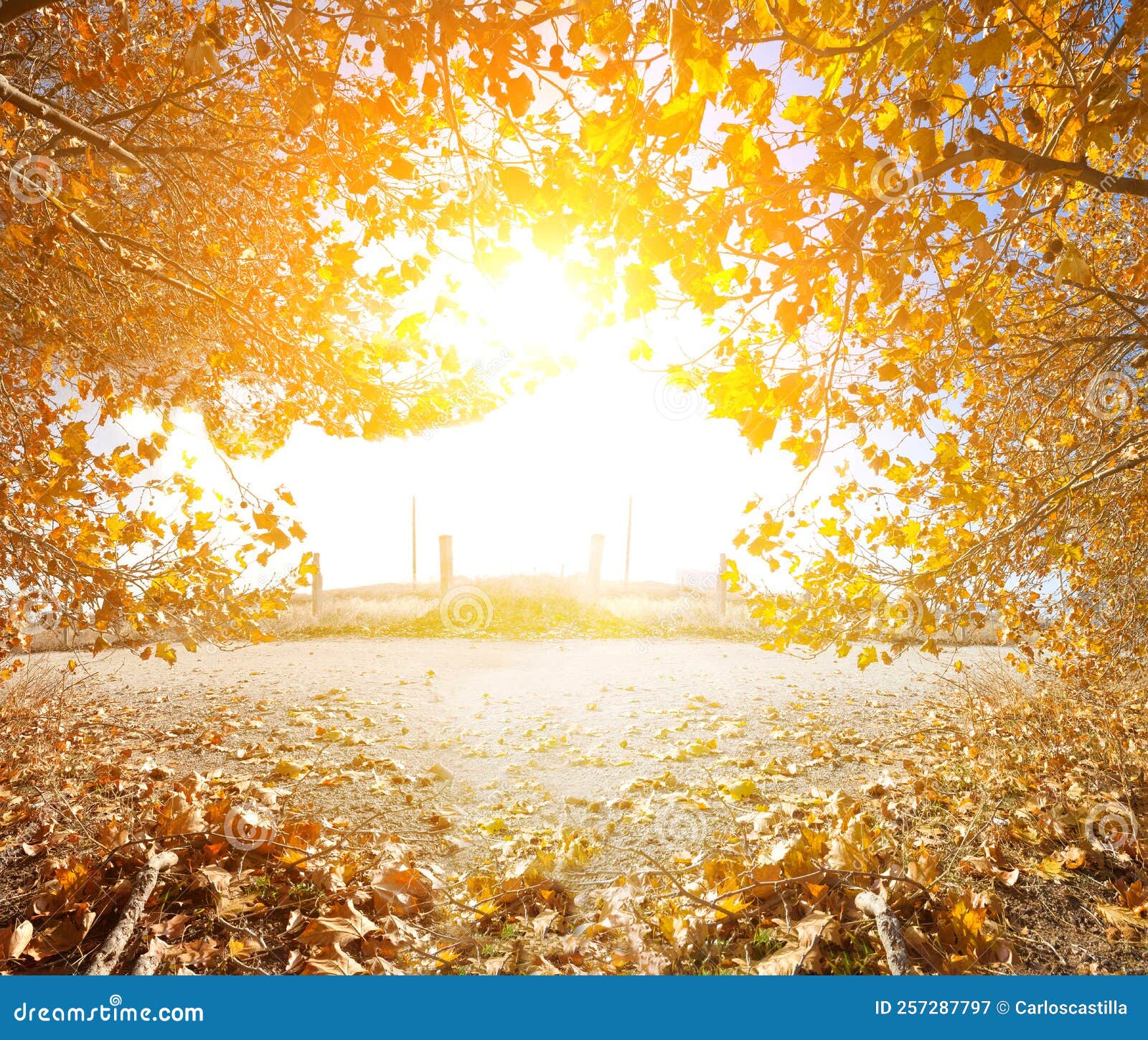 Autumn sunset landscape stock image. Image of closeup - 257287797