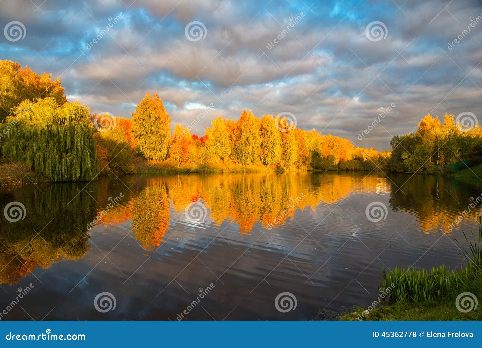 Autumn Sunset in the Park by the Pond. Stock Photo - Image of ...