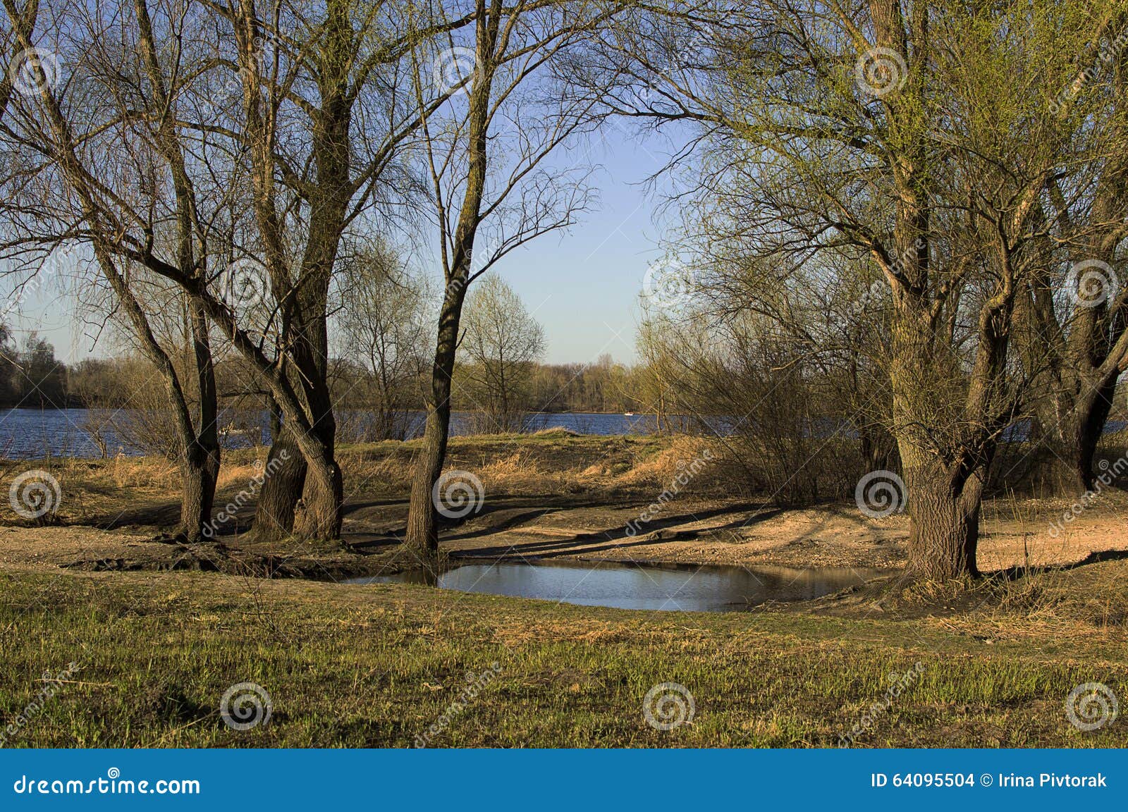 Autumn Sunset on the River among Trees Stock Photo - Image of light ...