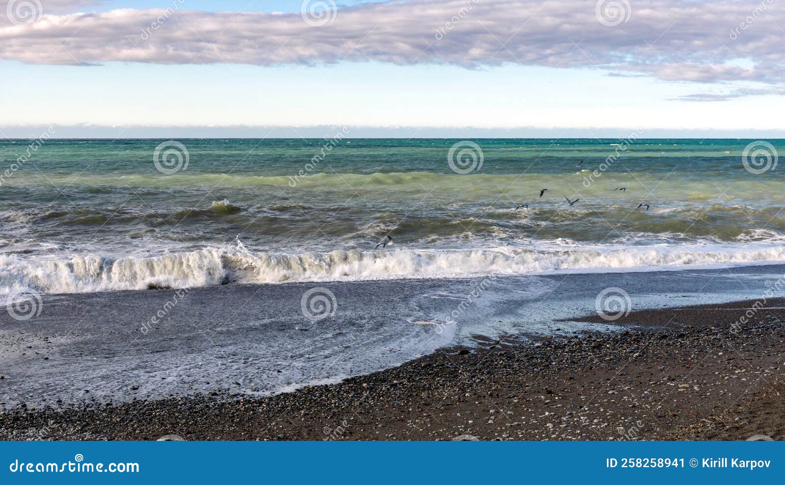 Autumn Surf on the Black Sea with Seagulls Stock Image - Image of ...