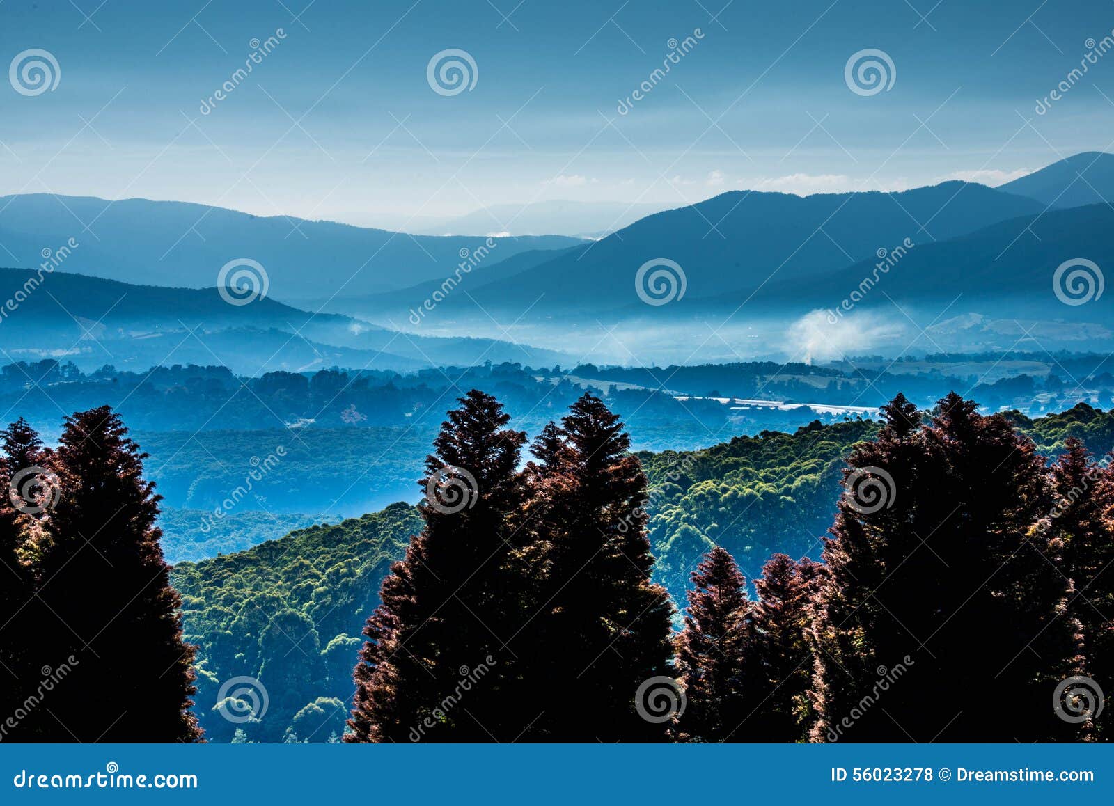 The autumn surprise stock photo. Image of autumn, supriae - 56023278