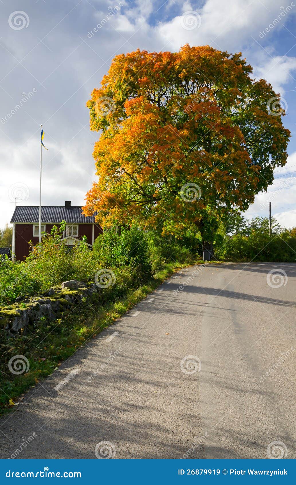 Autumn Swedish details stock image. Image of nature, highway - 26879919