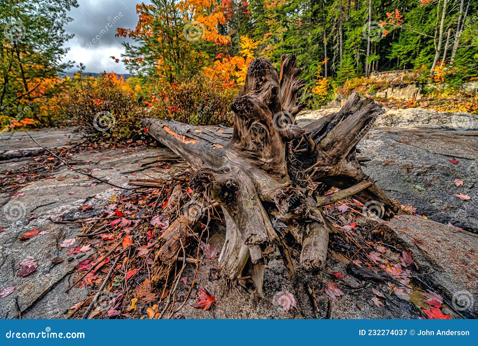 Autumn on the Swift River, the Gorge Stock Image - Image of fall ...