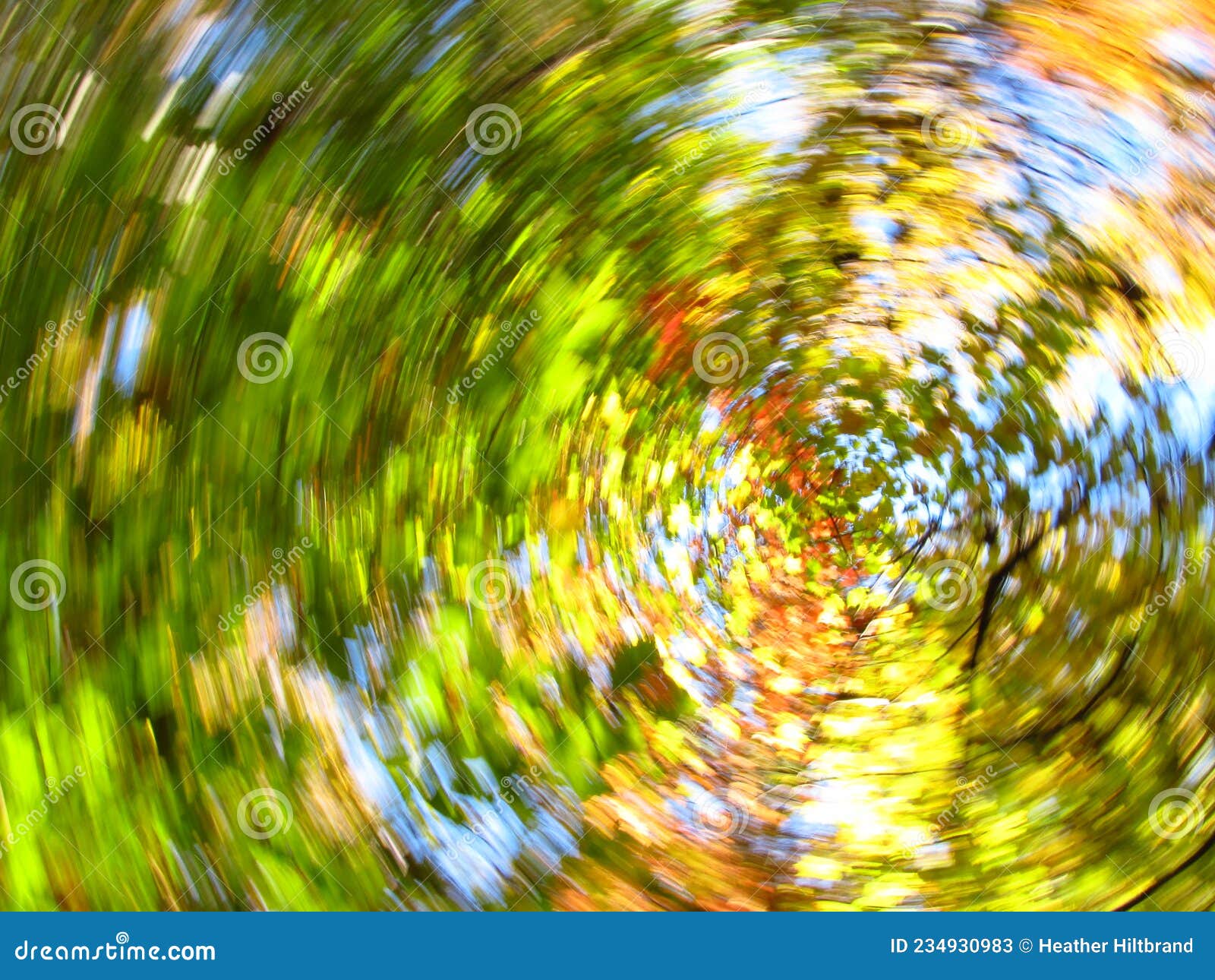 Autumn Swirl in the Forest5 Stock Image - Image of seasons, sunny ...