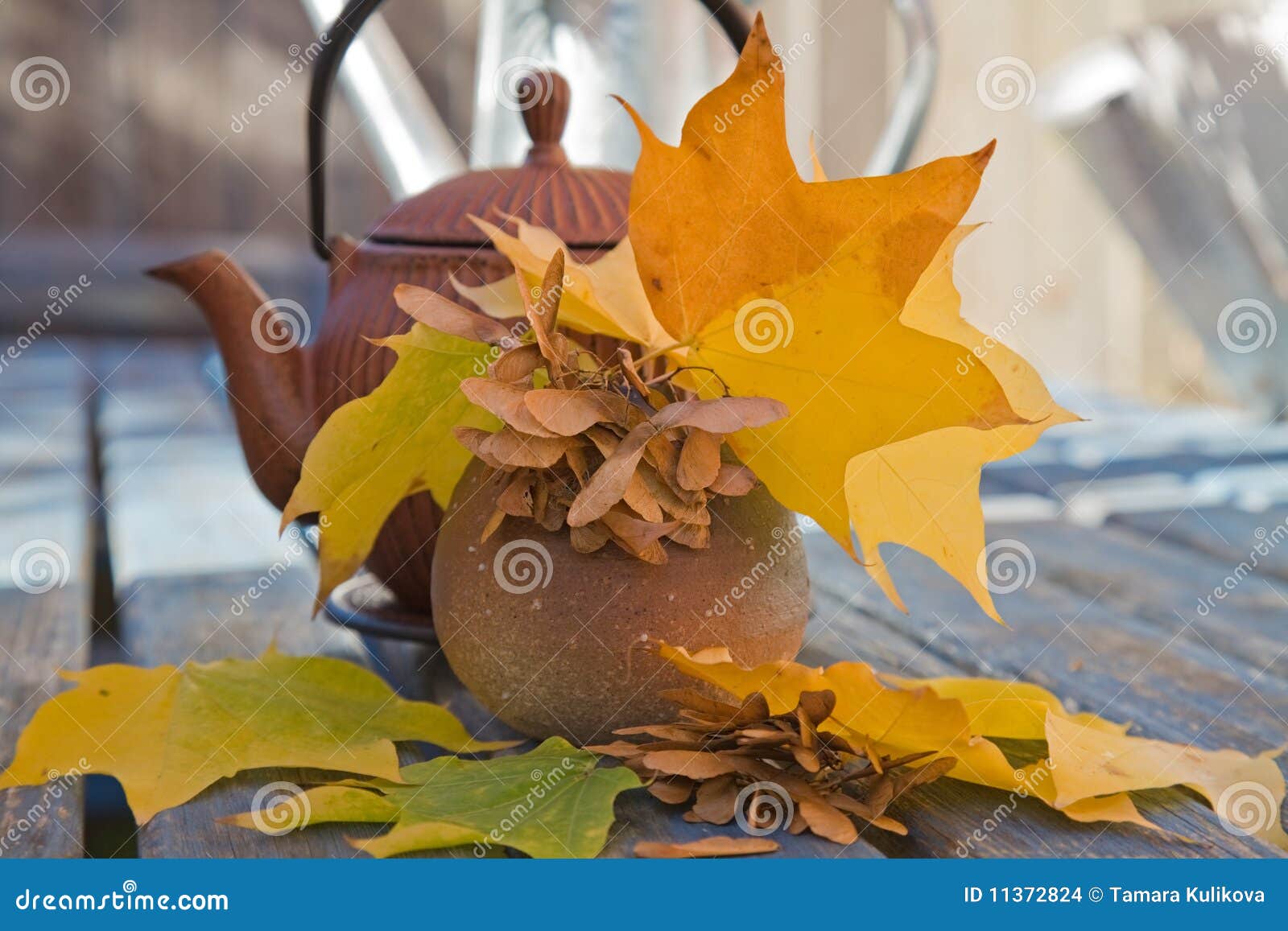 Autumn tea stock photo. Image of tetsubin, life, japanese - 11372824