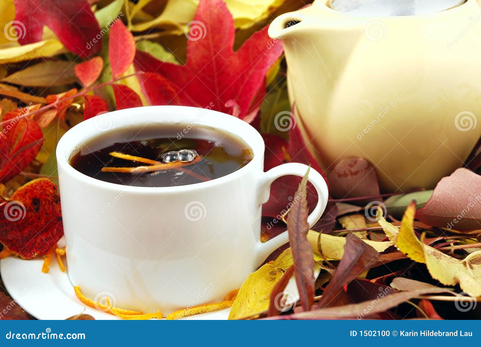 Autumn Tea stock photo. Image of fall, english, time, autumn - 1502100