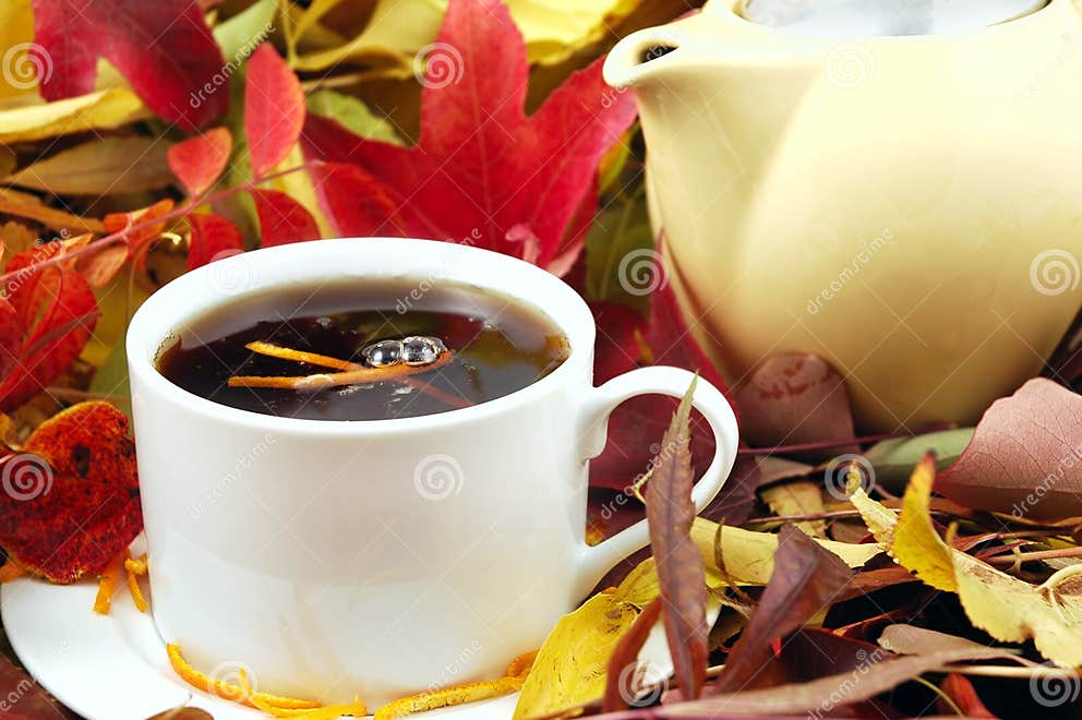 Autumn Tea stock photo. Image of fall, english, time, autumn - 1502100