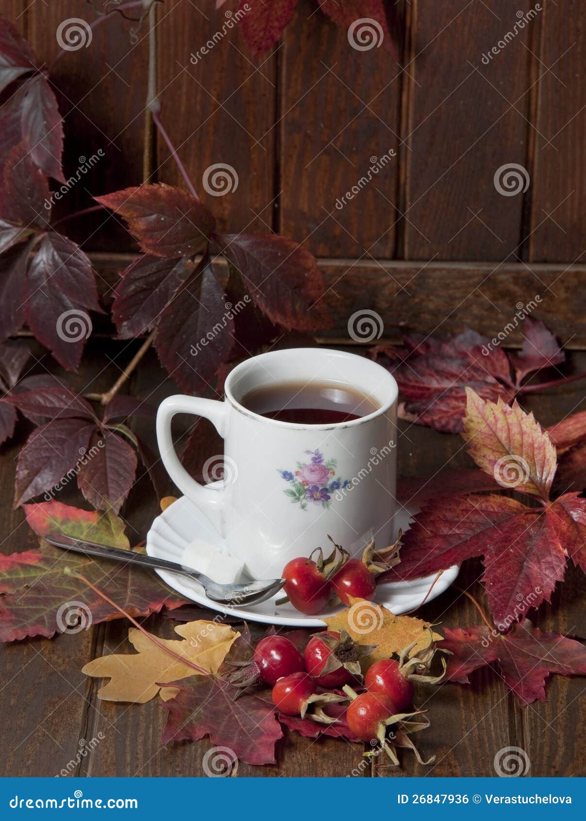 Autumn tea stock photo. Image of autumnal, copy, beverage - 26847936