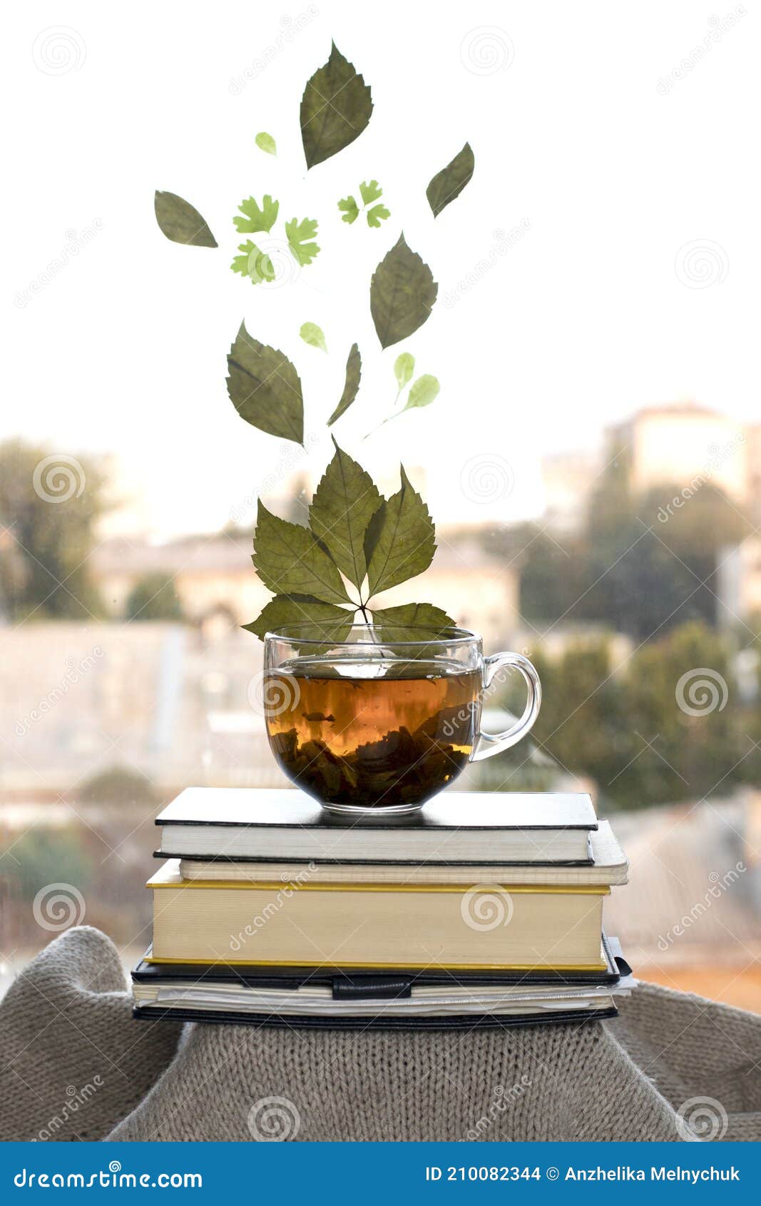 Autumn tea cup with leaves stock photo. Image of comfort - 210082344