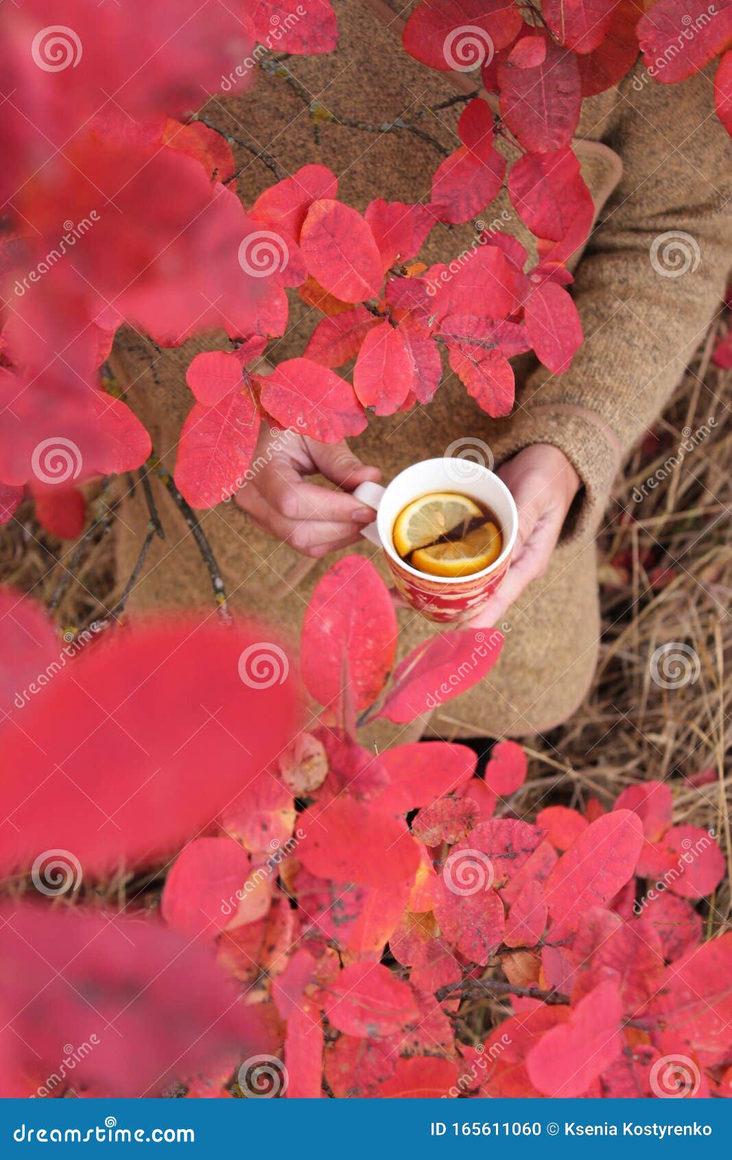 Autumn tea stock photo. Image of lemon, warms, hands - 165611060