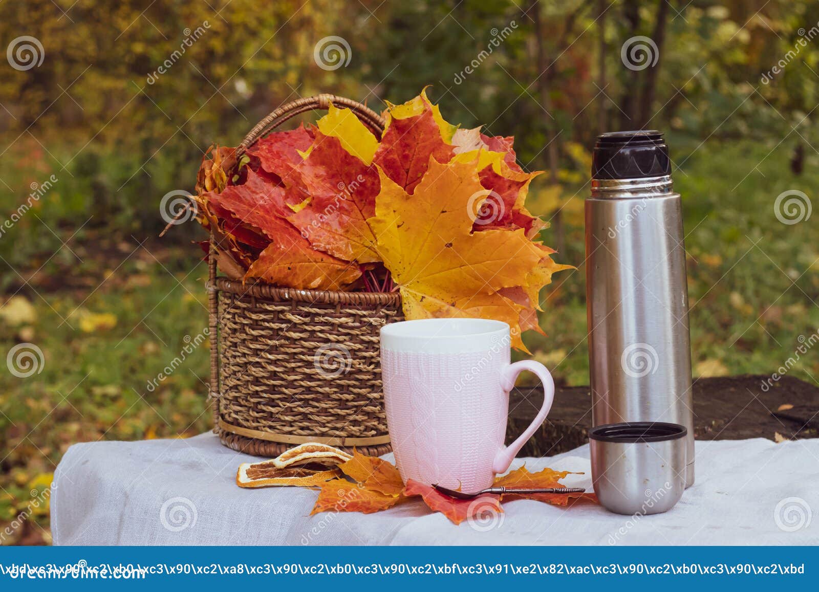 Autumn Tea Party. Cup with Tea and Maple Leaves Stock Photo - Image of ...